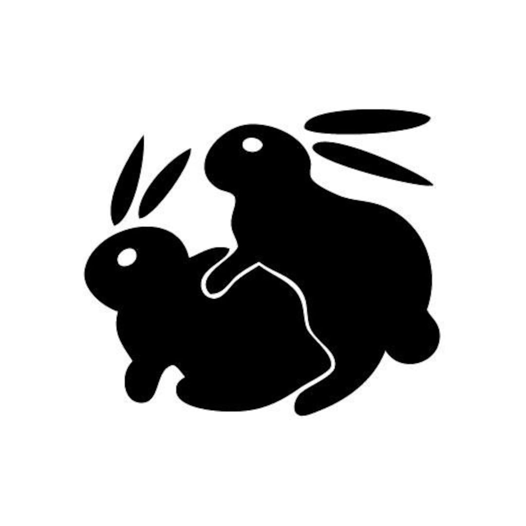 Buy Bunny Rabbits Humping Sexy Vinyl Decal Sticker for Wall, Car, Bike ...