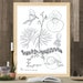 Utricularia Intermedia Print - Etsy