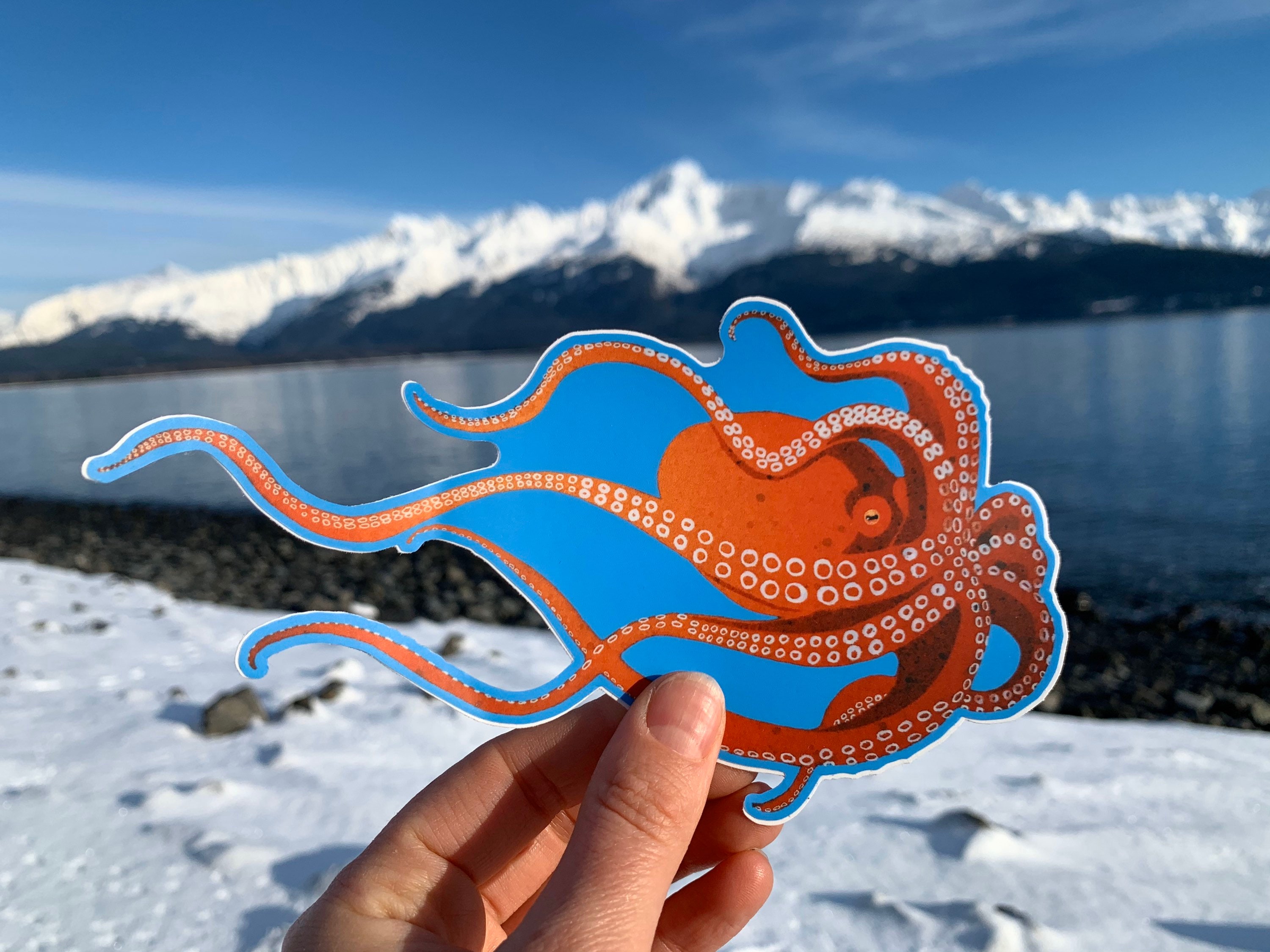 Sticker Pack 5 for 20 Amazing Art Stickers Variety Pack - Etsy