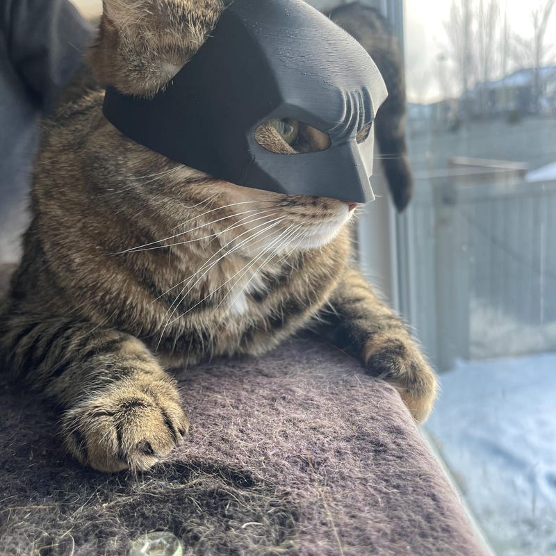 Cat Helmets 3d Print - Etsy