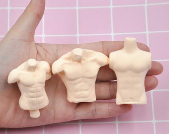 Male Torso Doll - Etsy