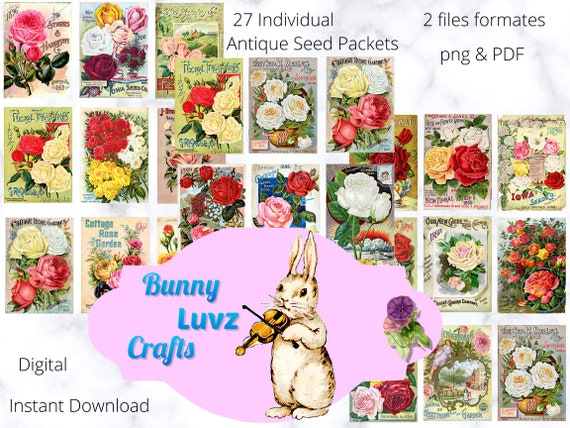 Vintage Rose Seed Packets Instant Digital Download Shabby | Etsy