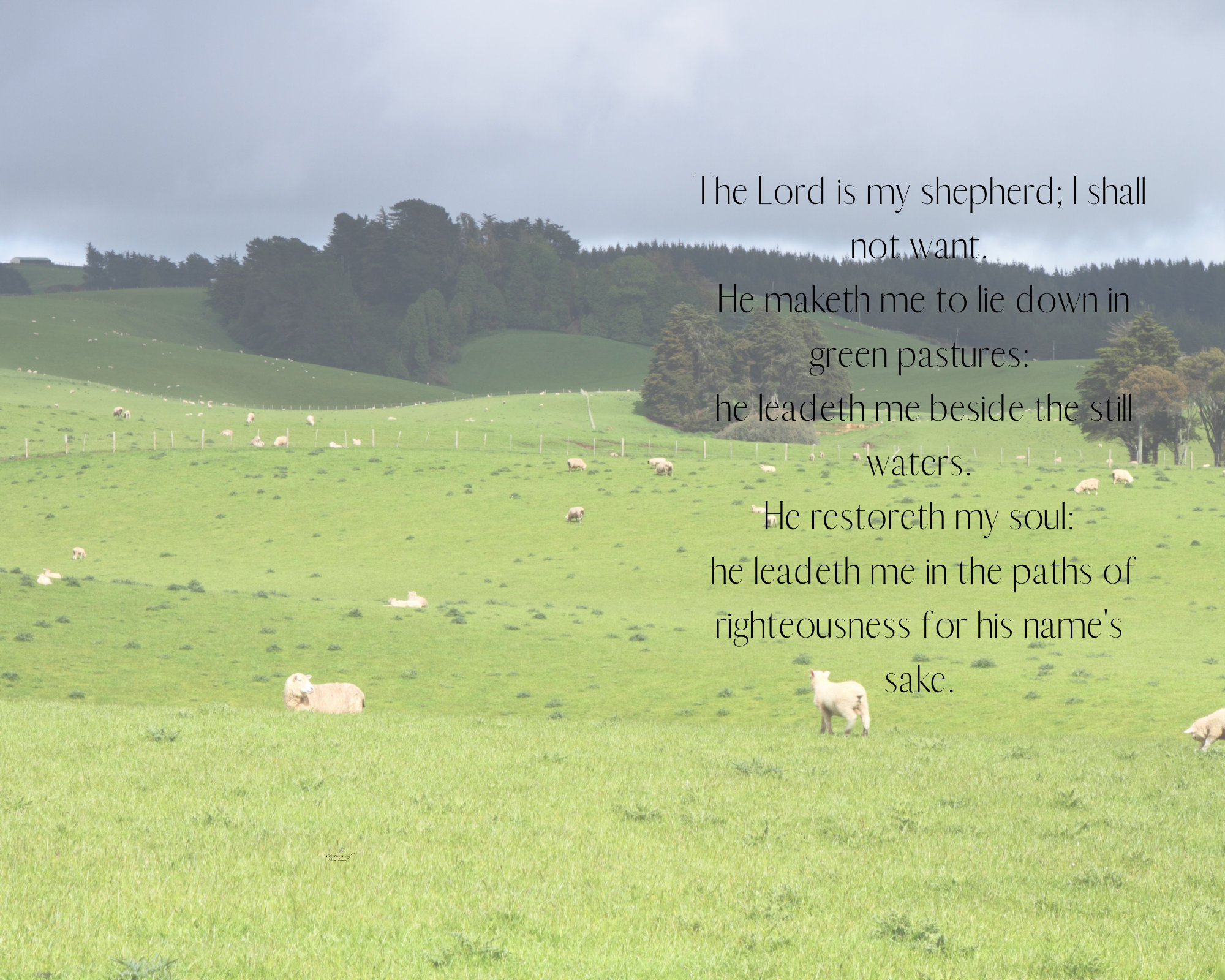 Church Bulletin, the Lord is My Shepherd Flyer, Sunday School Bulletins ...