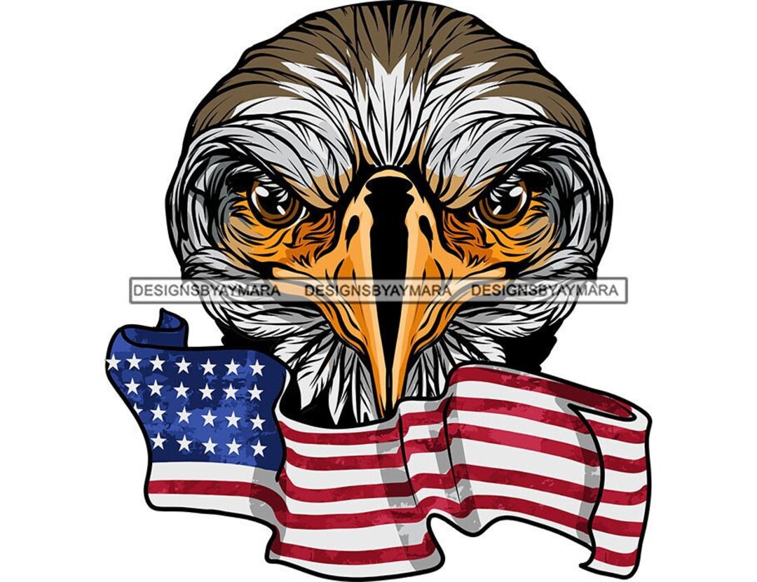 Eagle American Bird Head Hawk Flag Symbol Emblem Logo Sharp Brown Eyes ...