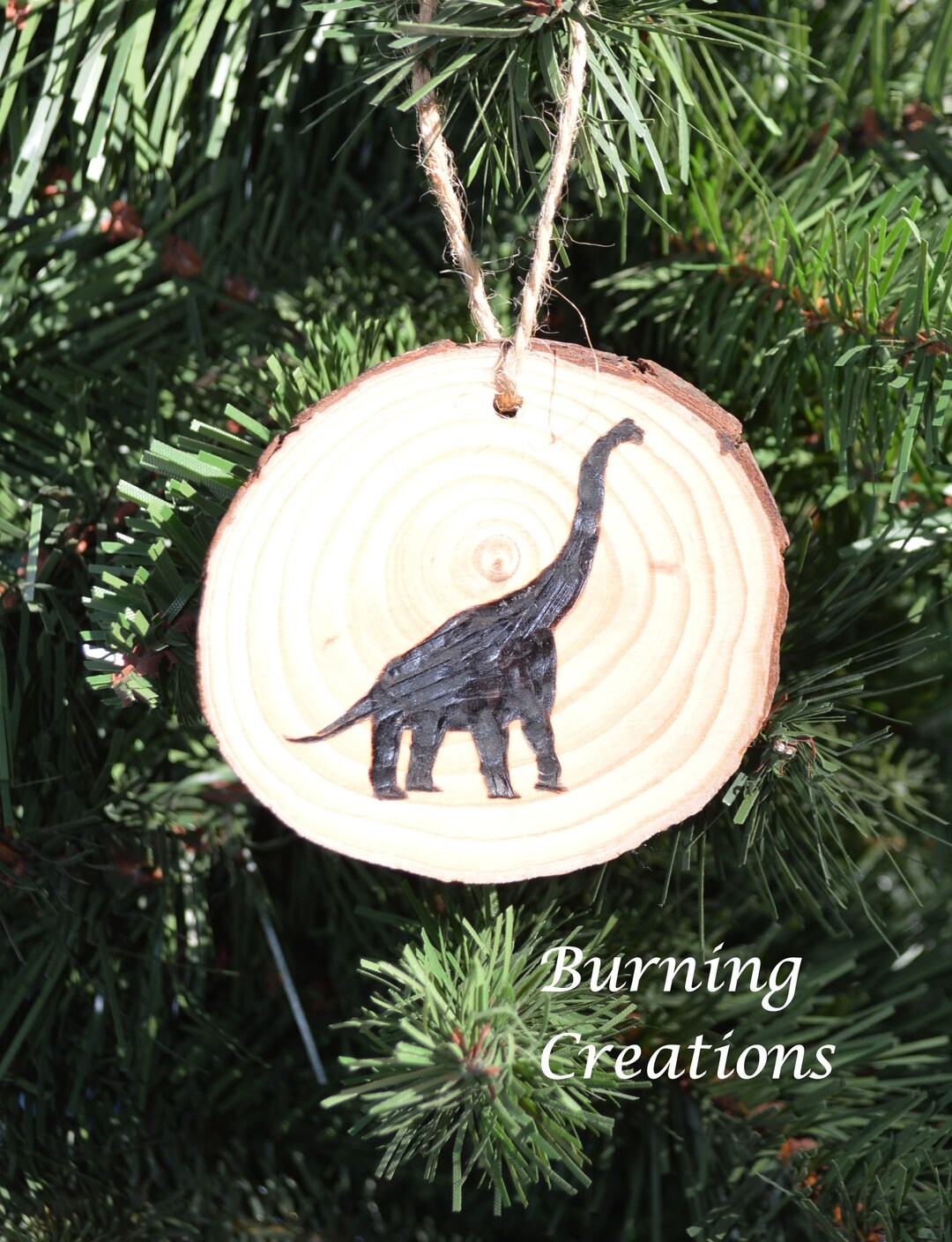 Brontosaurus Dinosaur Ornament, Pine Ornament, Pyrography, Wood Burned ...
