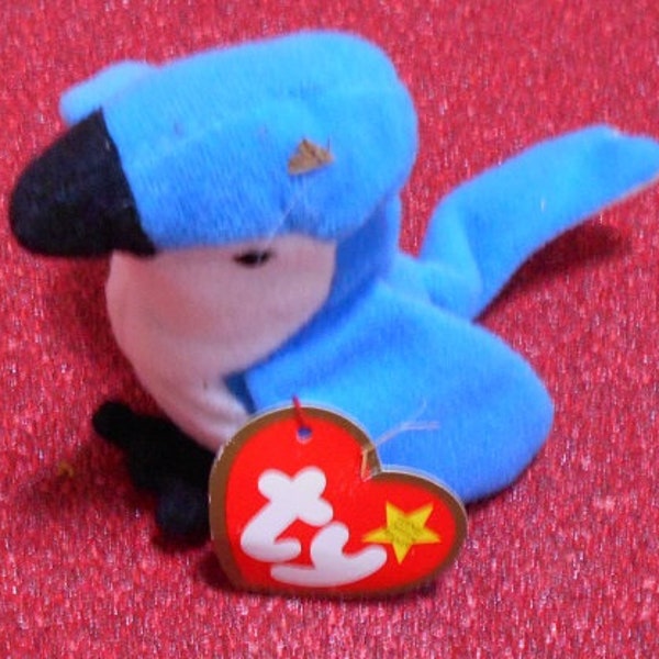 Baby Blue Jay - Etsy