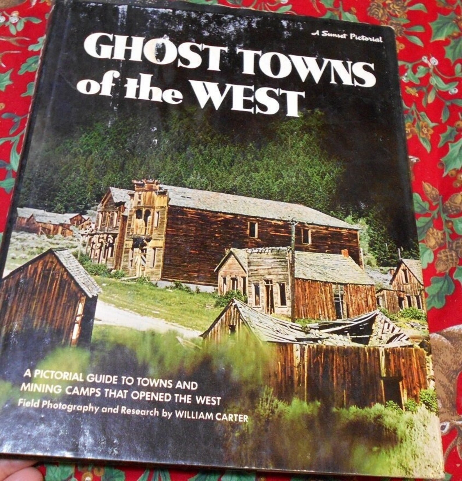 Ghost Towns of the West Pictorial Guide by Carter 1971 Old - Etsy