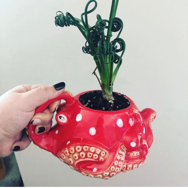 Octopus Planter - Etsy