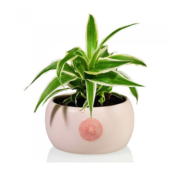 Boob Planter - Etsy