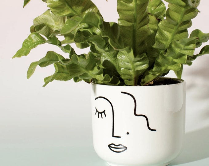 Face Pot Planter Lady Vase for Succulents or Flowers Facepot - Etsy