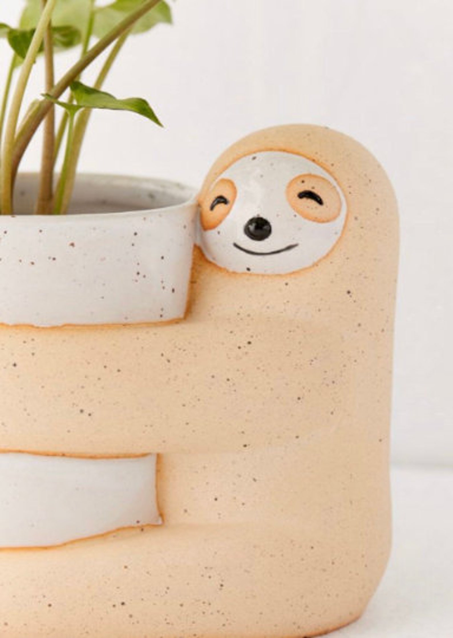 Large Sloth Planter Pot for Succulents & Plants Succulent - Etsy UK