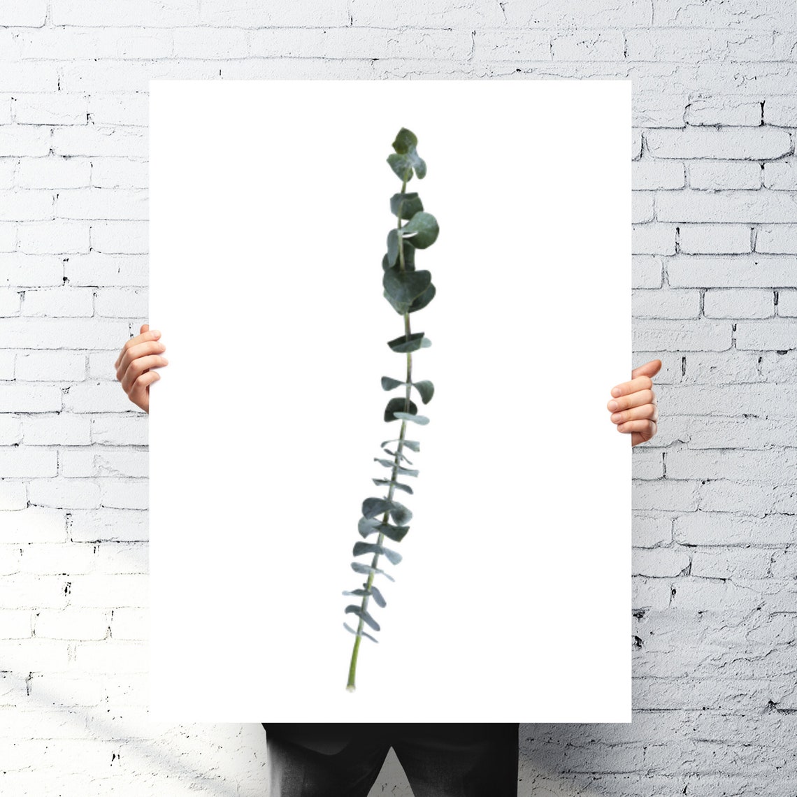 Minimalist Eucalyptus Wall Art Printable Poster Plant - Etsy
