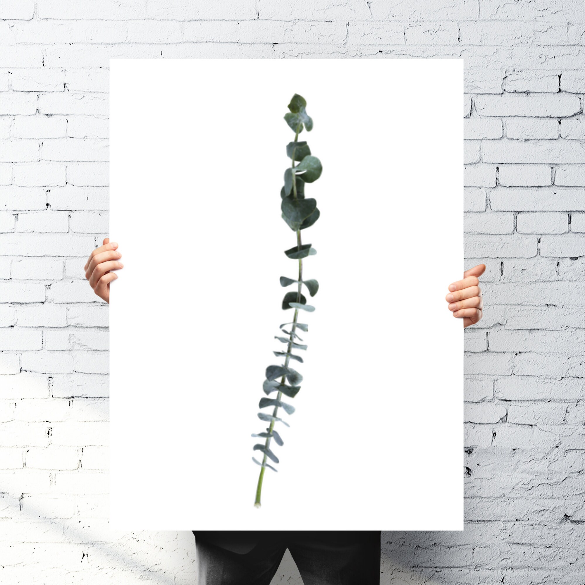 Minimalist Eucalyptus Wall Art Printable Poster, Plant Watercolor ...