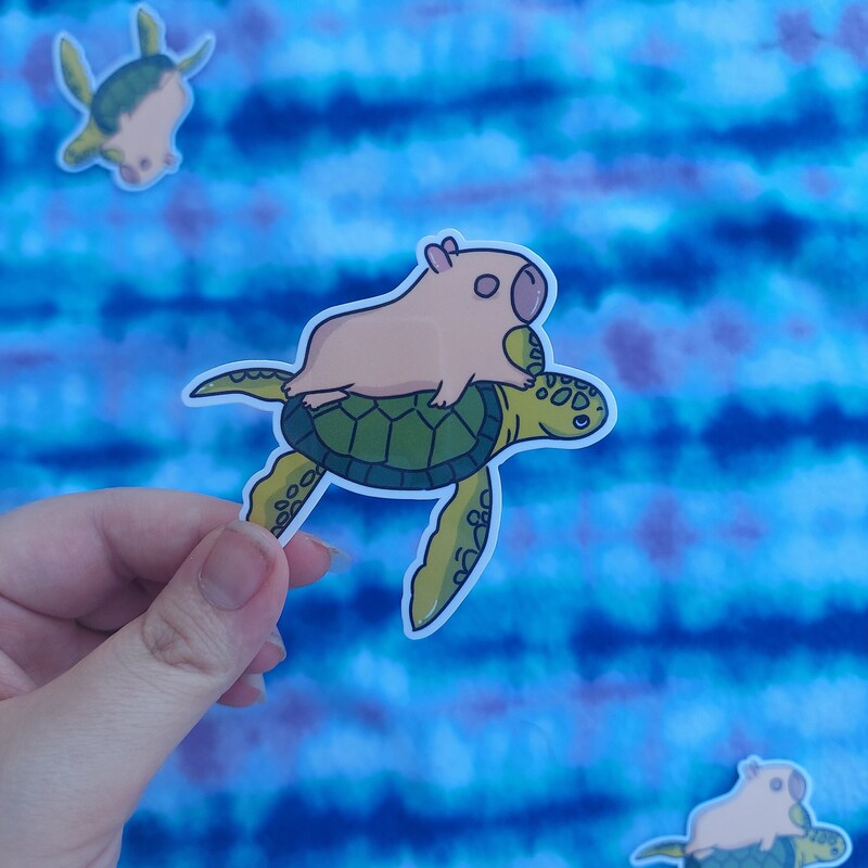 Capybara Turtle - Etsy