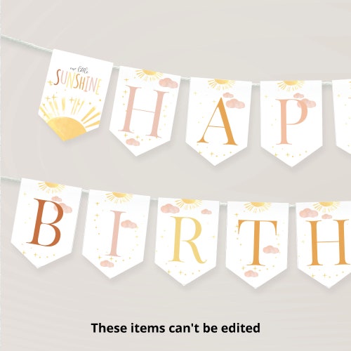 EDITABLE First Trip Around the Sun Milestone Board Sunshine - Etsy