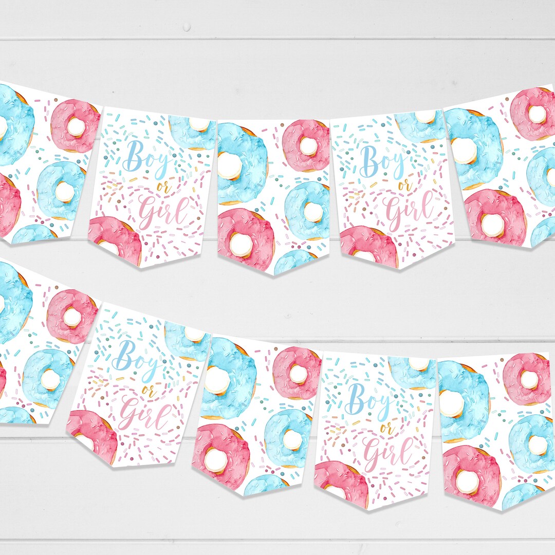 Donut Gender Reveal Banner, Gender Reveal Bunting Flags Banner, Donut ...