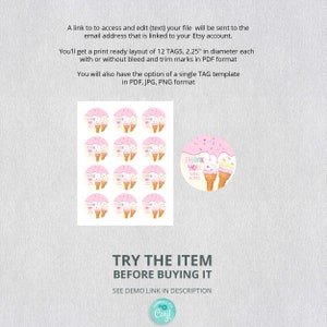 Editable Round Gift Tag Template Ice Cream Birthday Candy Thank You ...
