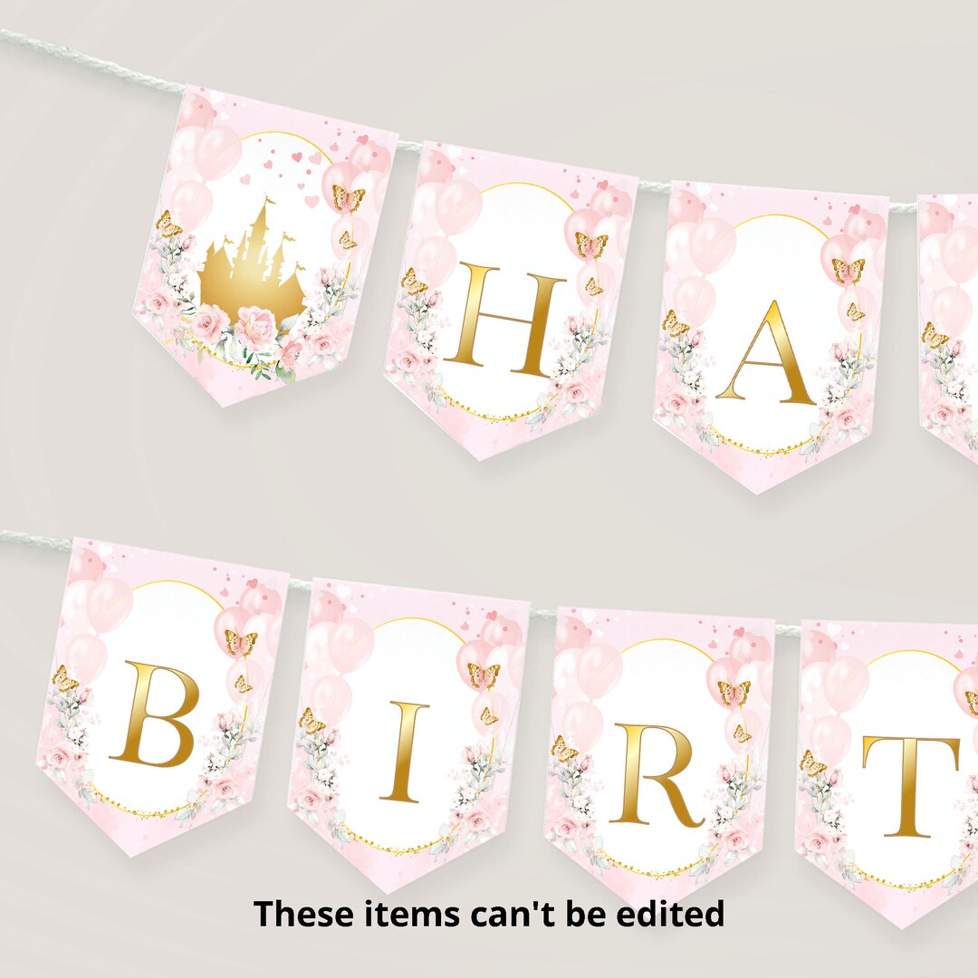 Little Princess Happy Birthday Banner, Birthday Girl Bunting Banner ...