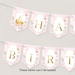 Little Princess Happy Birthday Banner, Birthday Girl Bunting Banner ...