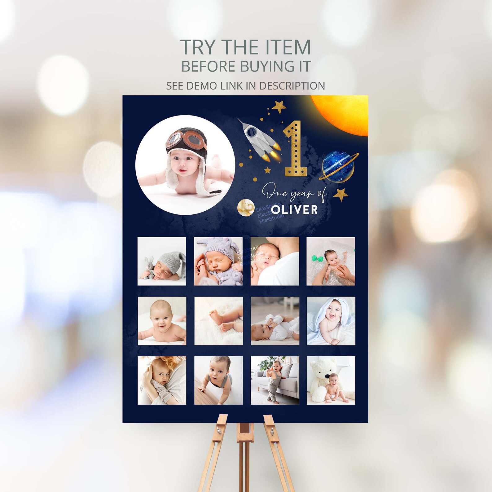 First Flight Around the Sun Printable Baby's First Year - Etsy