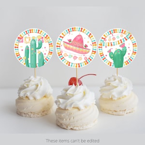 Fiesta Birthday Cupcake Toppers | Twosday Party Cupcake Toppers ...