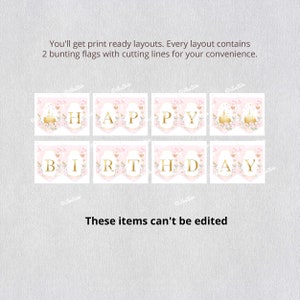 Little Princess Happy Birthday Banner, Birthday Girl Bunting Banner ...
