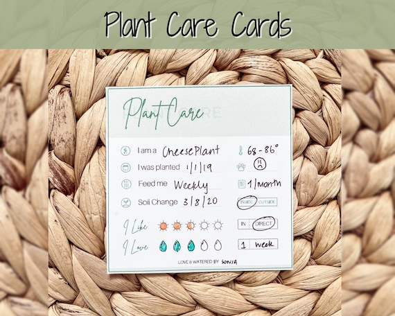 PLANT CARE CARD Printable Plant Care Instructions Tag | Etsy