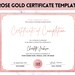 Certificate of Completion Template Editable Rose Gold - Etsy