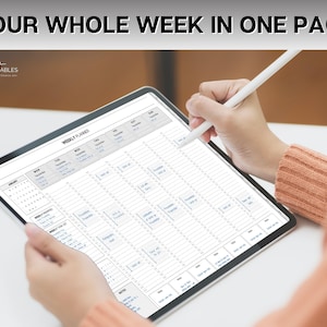 Digital WEEKLY Hourly Planner, 2024 Digital Planner, iPad Planner ...