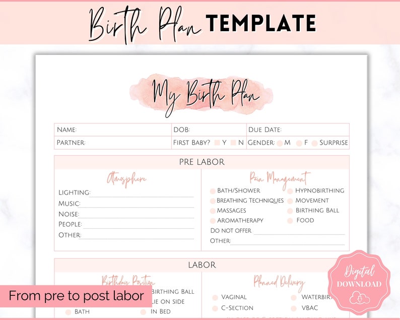 Birth Plan Template, Printable Birth Preferences, Birthing Plan ...