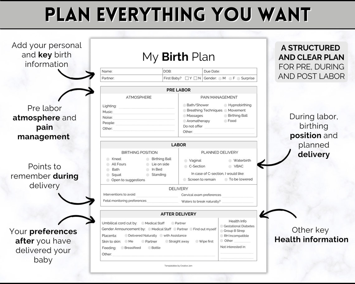 Birth Plan Template, Printable Birth Preferences, Birthing Plan ...