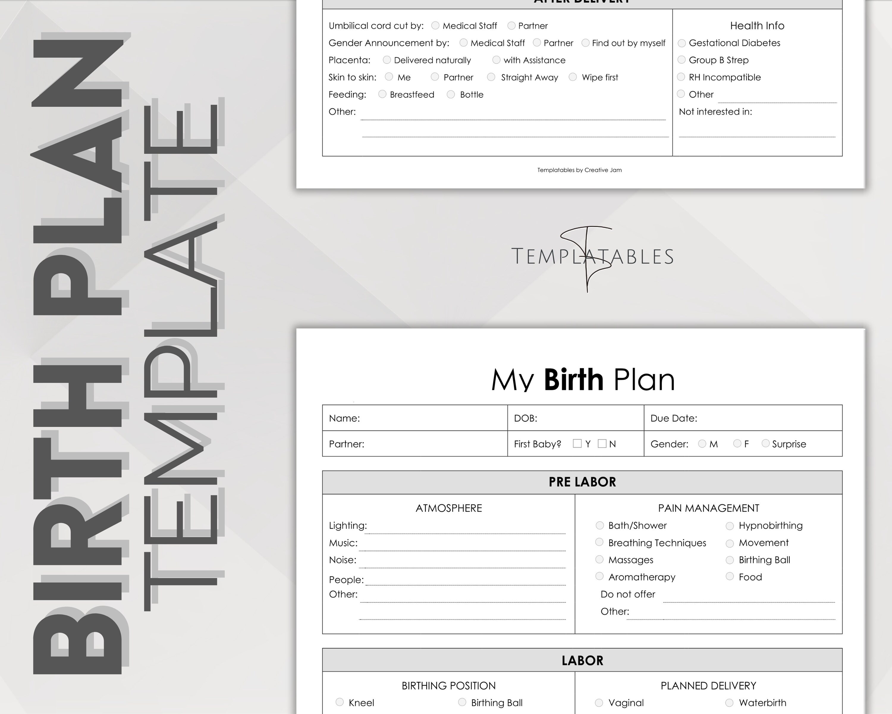 EDITABLE Birth Plan Template, Birth Preferences, Birthing Plan ...
