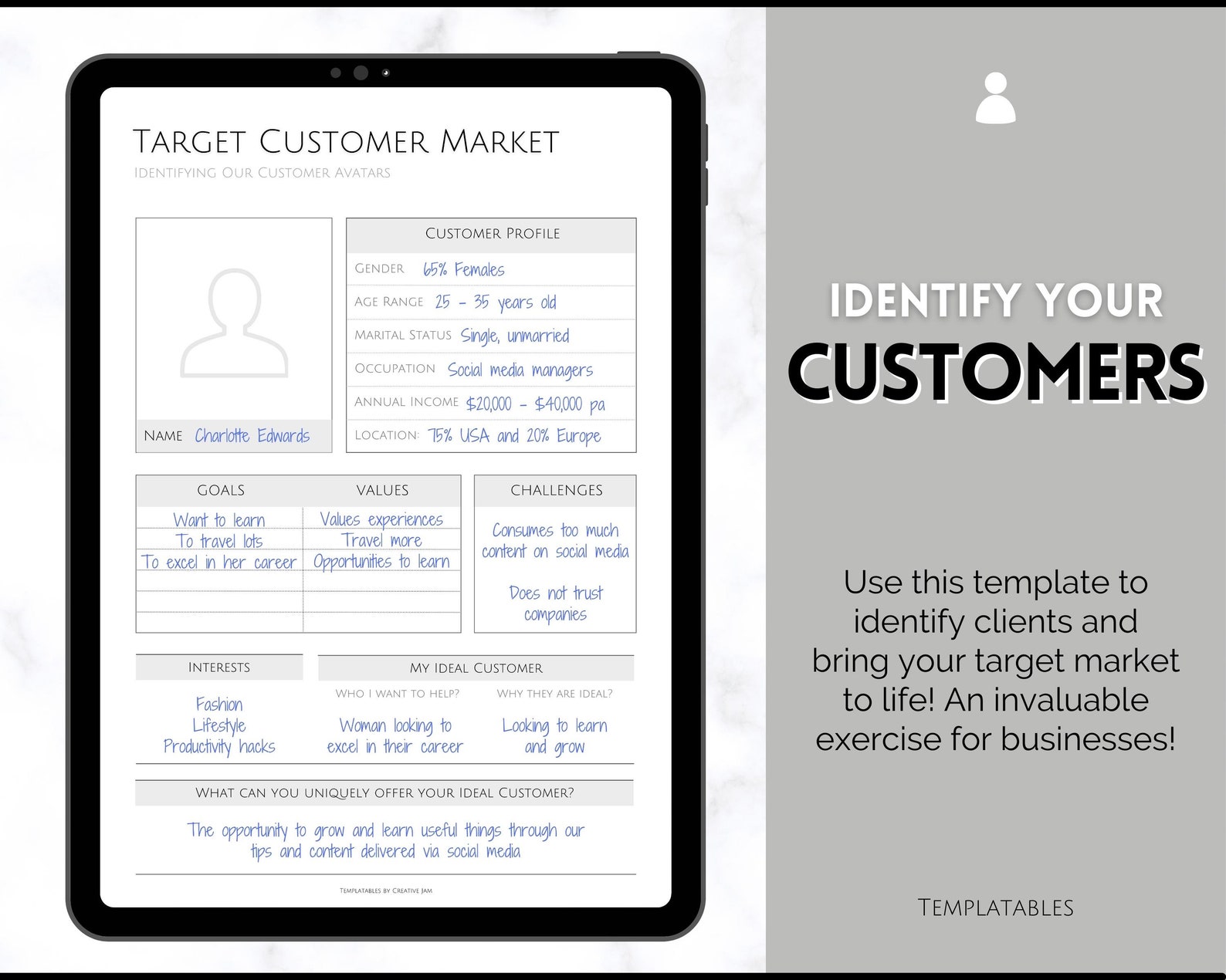 Customer Avatar Worksheet, Target Customer Market Template, Client ...