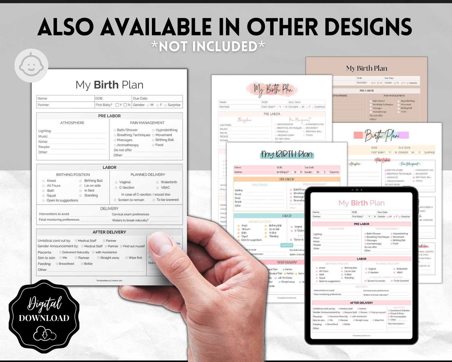 Birth Plan Template, Printable Birth Preferences, Birthing Plan ...