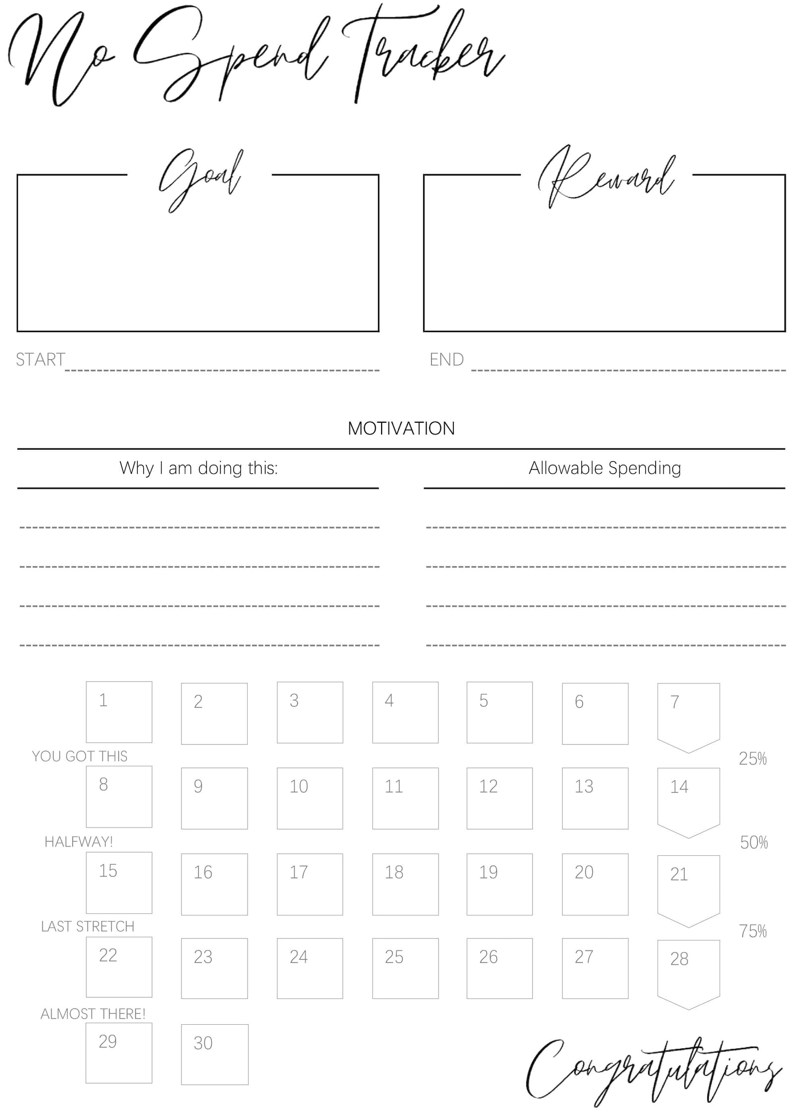Spending & No Spend Tracker Printable Budget Planner Insert - Etsy