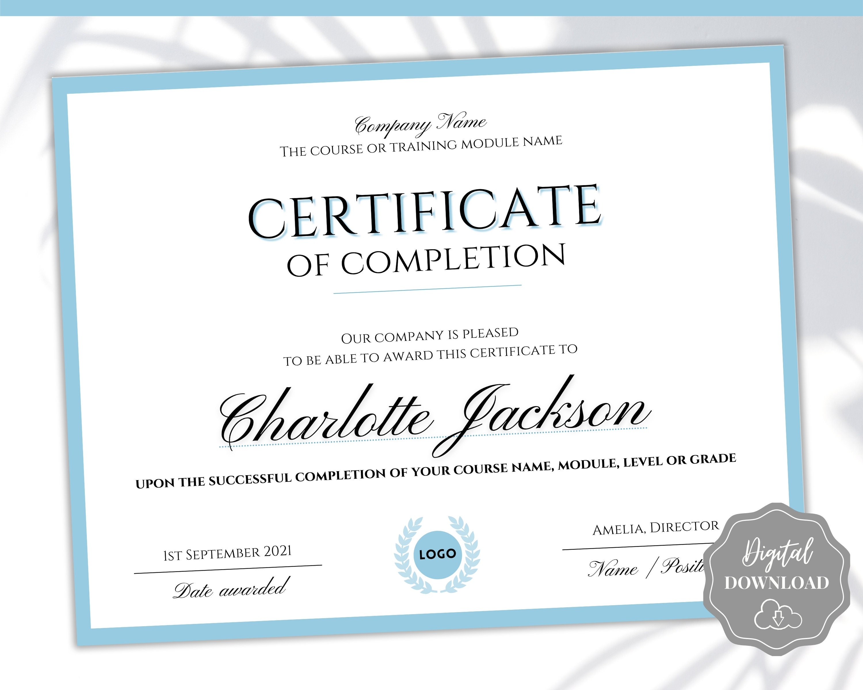 Certificate Of Successful Completion Template