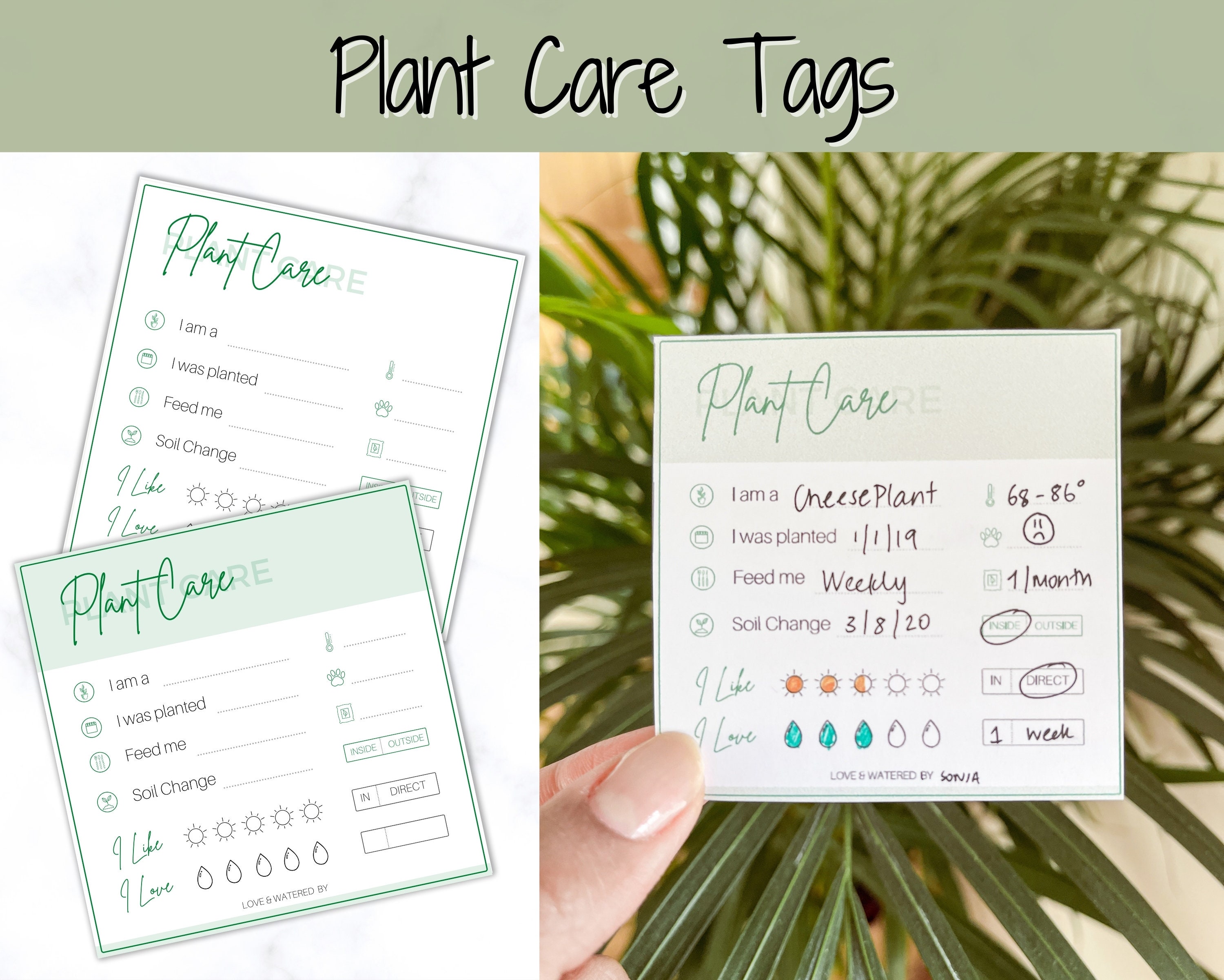 Plant Care Tags Printable Plant Care Sheet Plant Care Etsy My XXX Hot