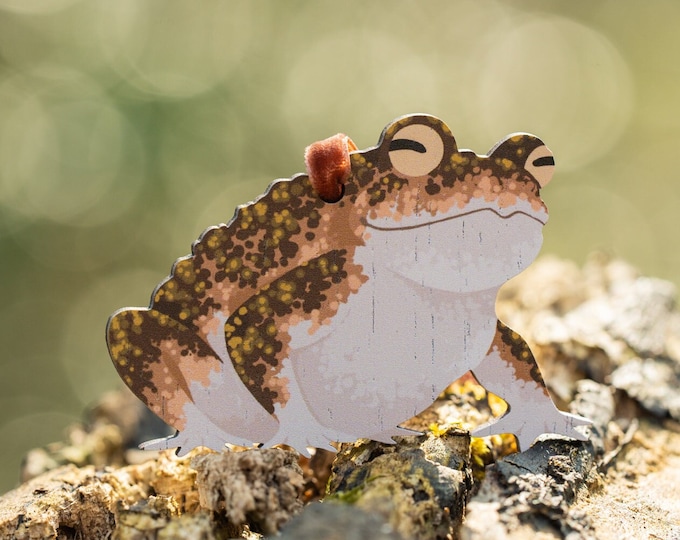 Natterjack Toad Decoration - Rare British Breeds Wooden - Endangered ...