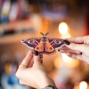 Hanging Moth Wooden Decorations Printed Moth Home Decor Cottagecore ...