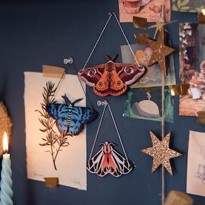 Hanging Moth Wooden Decorations Printed Moth Home Decor Cottagecore ...