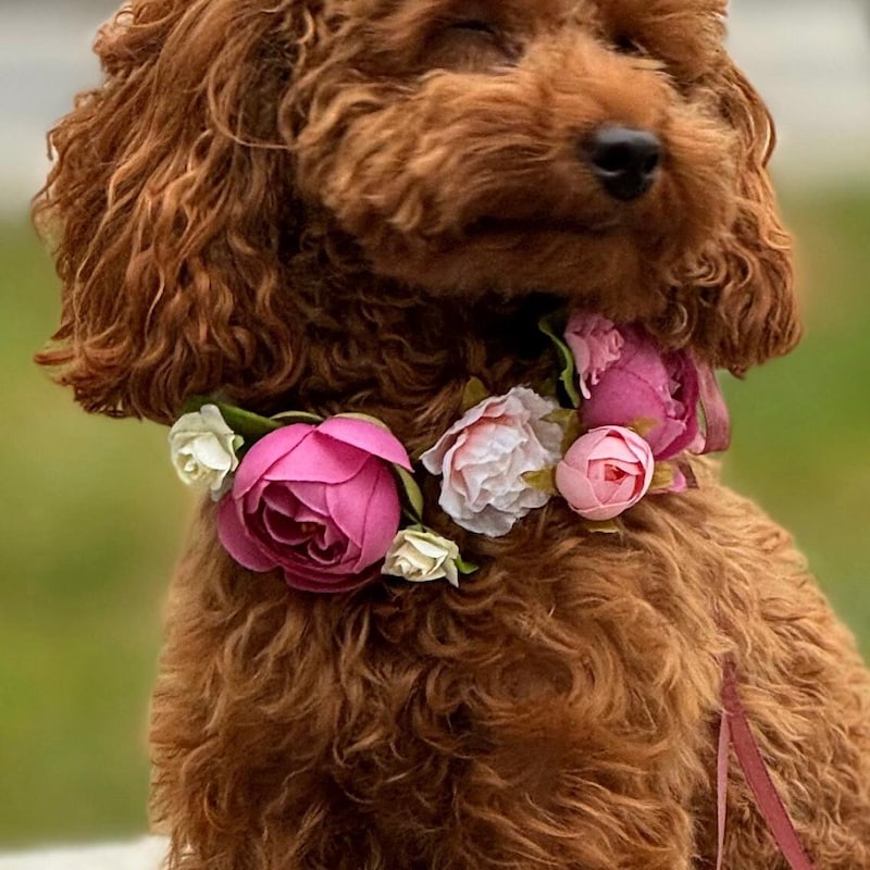 Dog Flower Crown - Etsy