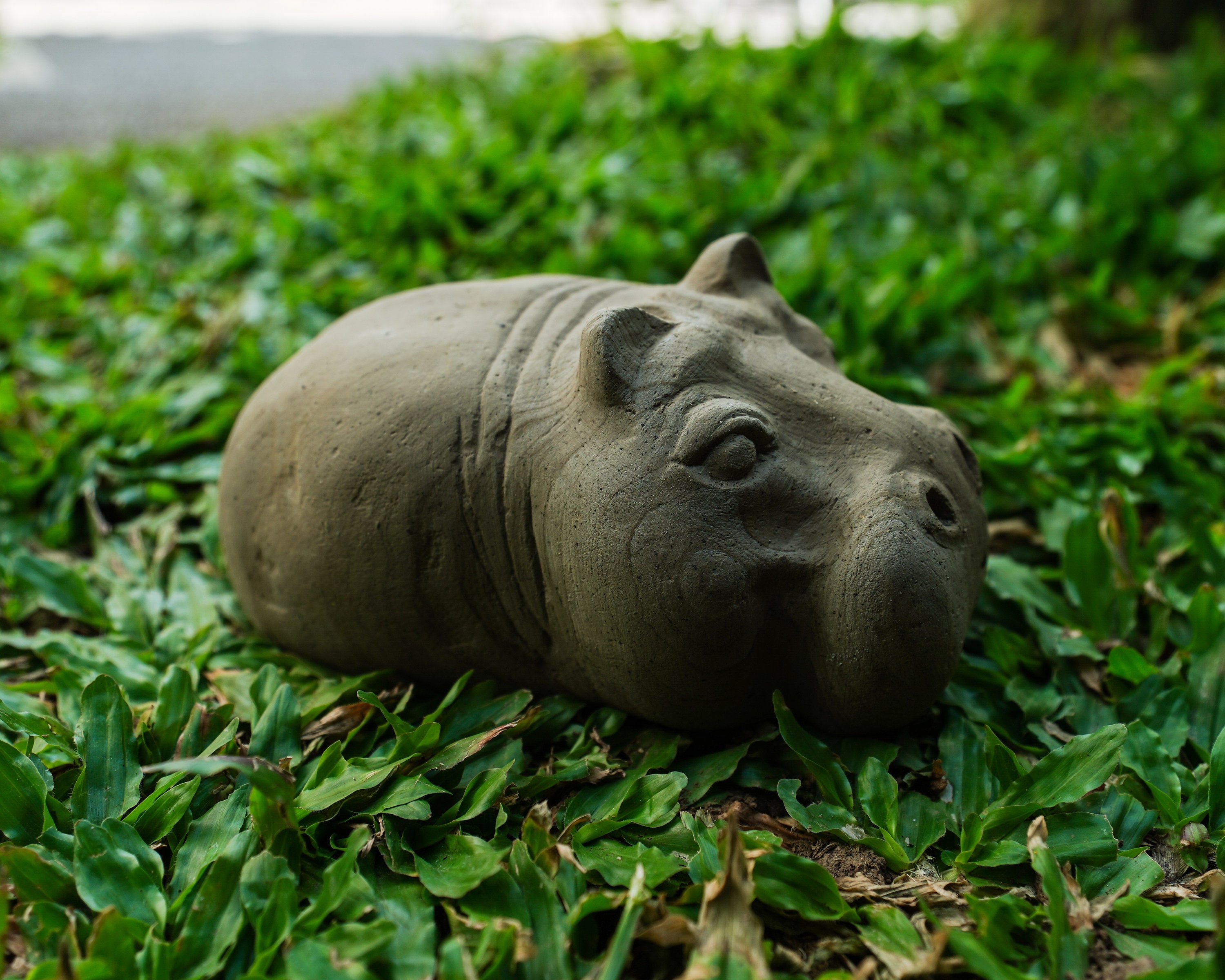Hippo Decoration Hippo Swimming Hippo Stone Hippo Garden - Etsy
