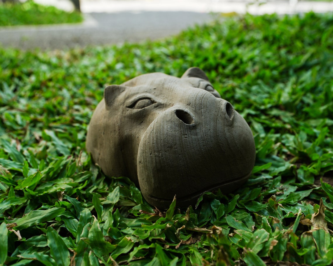Hippo Decoration Hippo Swimming Hippo Stone Hippo Garden | Etsy