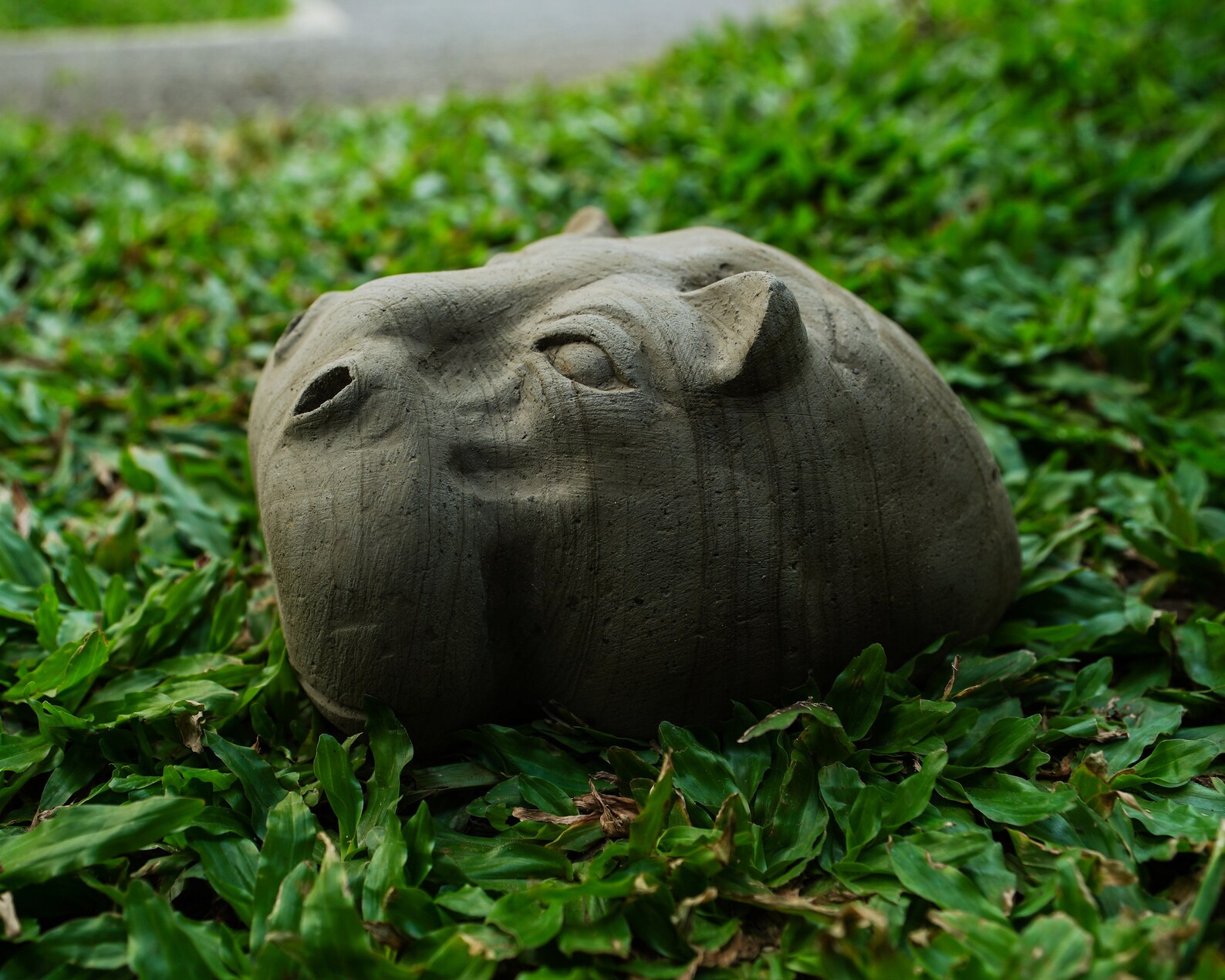 Hippo Decoration Hippo Swimming Hippo Stone Hippo Garden | Etsy