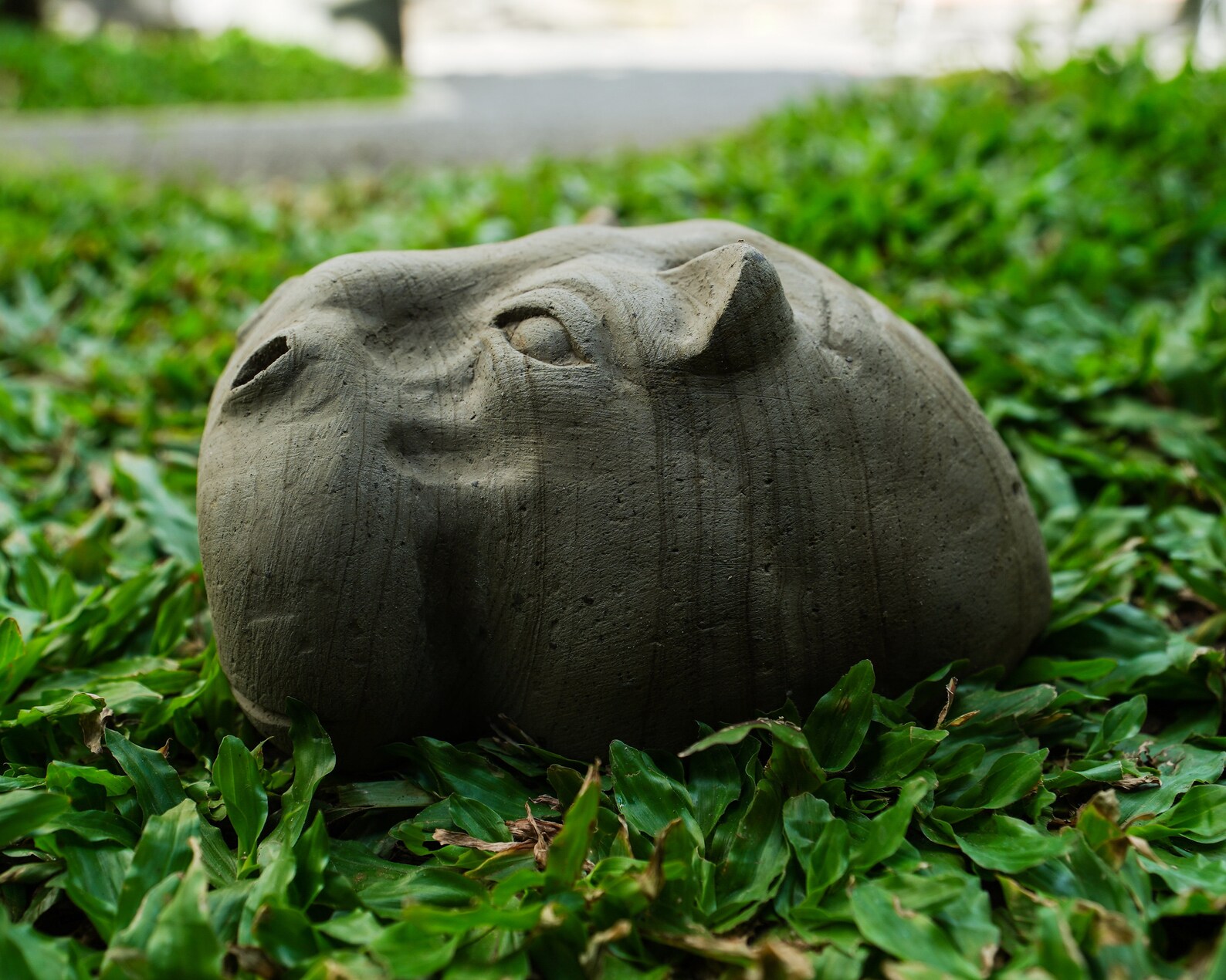 Hippo Decoration Hippo Swimming Hippo Stone Hippo Garden | Etsy