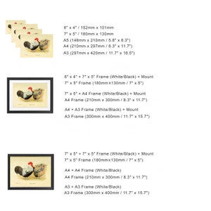 Wolf, Dog - 1820 Rare Antique Hand-coloured Lithograph - Giclee Print ...