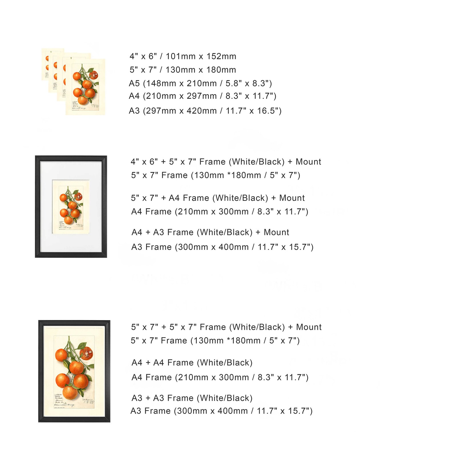 Peacocks and Rowan Giclee Print Lanimal Dans La - Etsy UK