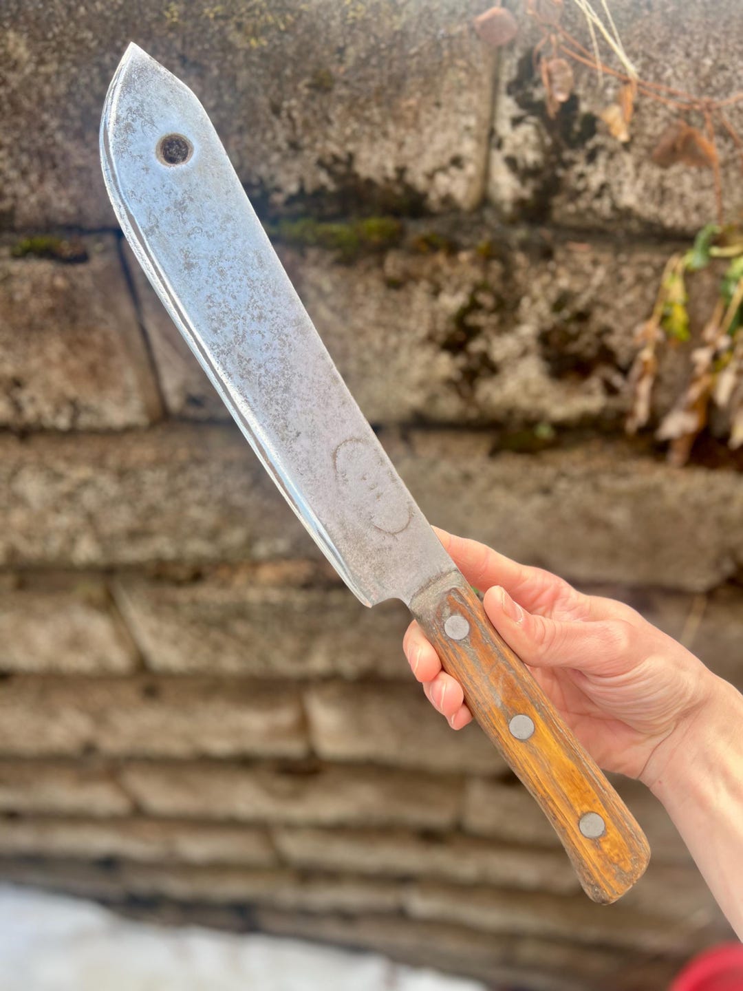 Vintage Lamb Splitter - Etsy