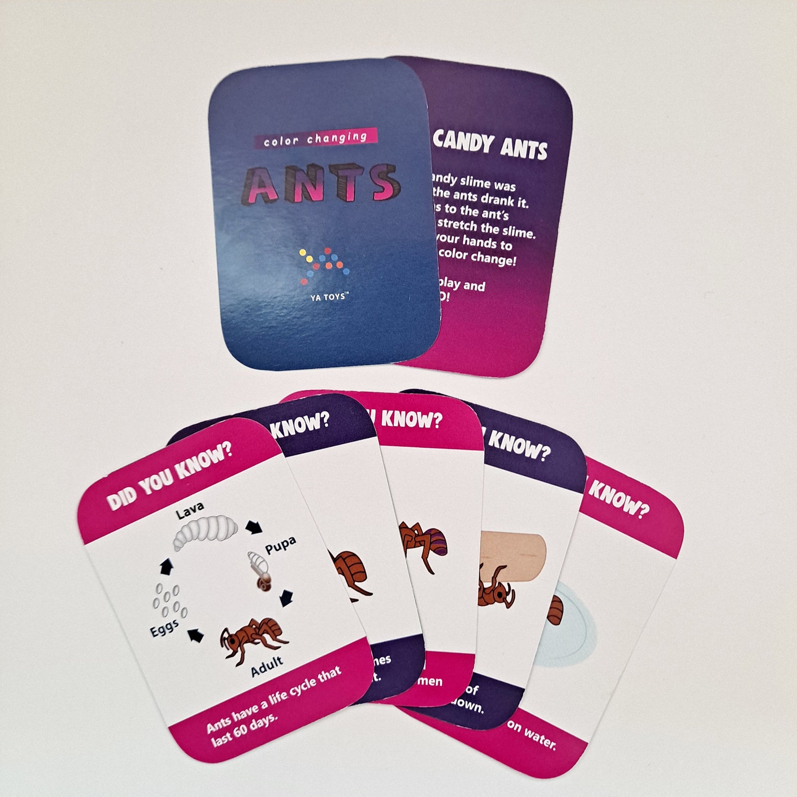 Miniature Stretchy Slime-non-stick, Non-toxic With Color Changing Ants ...