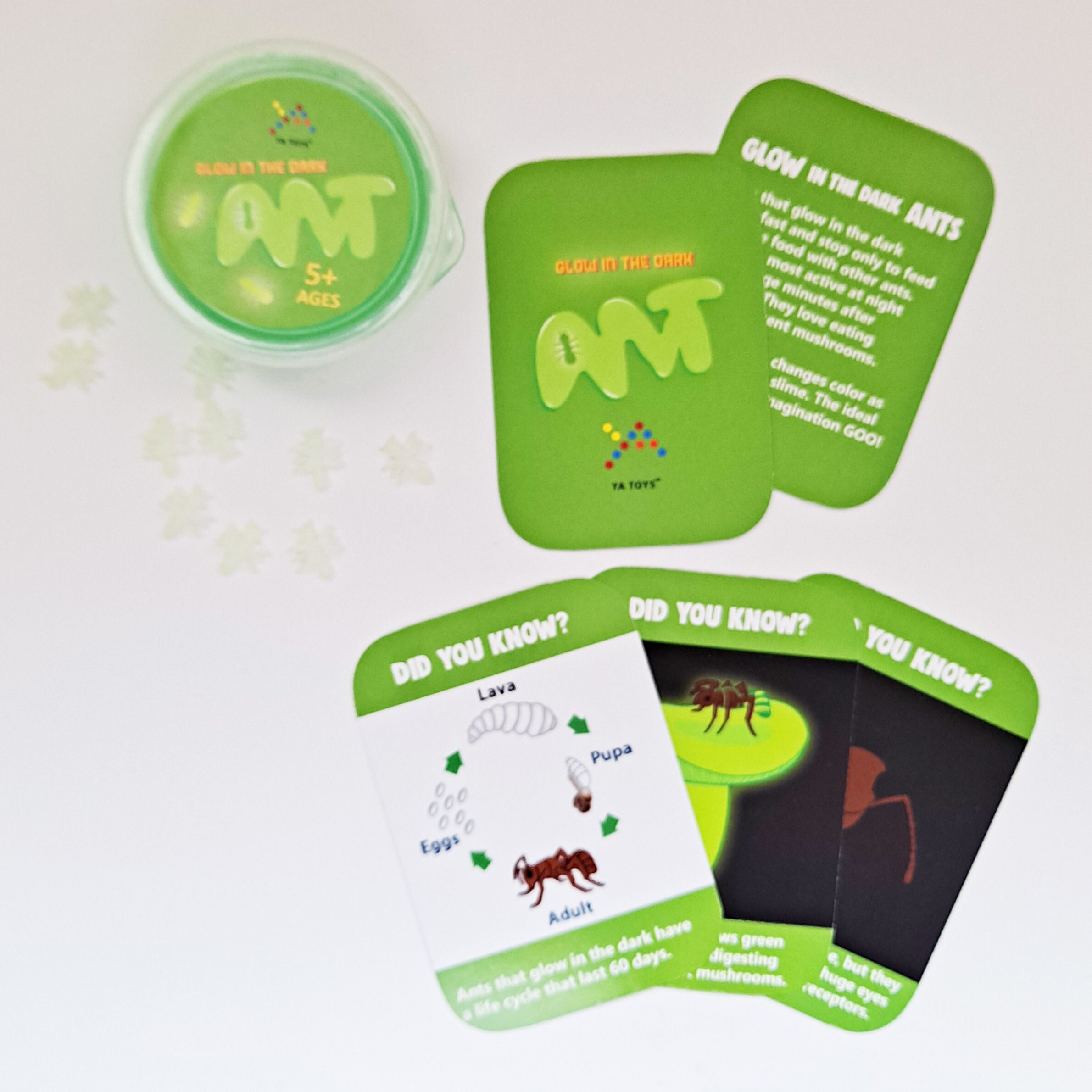 Miniature Size-slime-non Stick W/glow in the Dark Ants: Glow in the ...